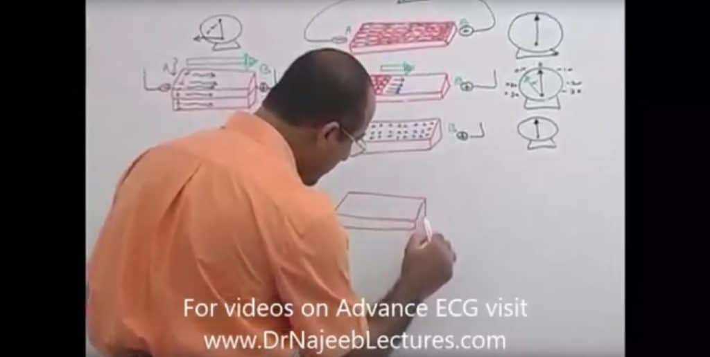 ECG » Dr. Najeeb Lectures