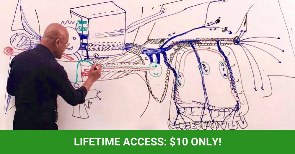 dr najeeb lifetime $10 » Dr. Najeeb Lectures